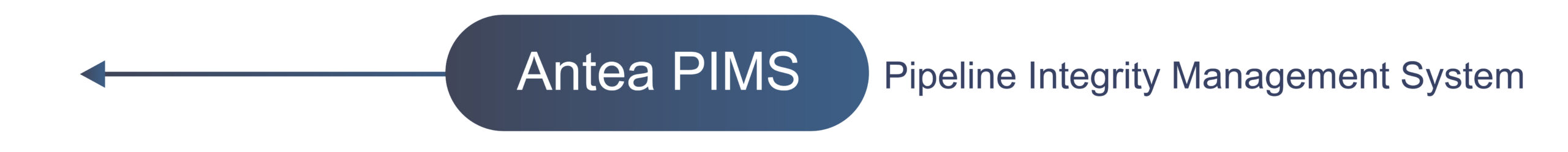 Asset Integrity Management Software | Antea Web